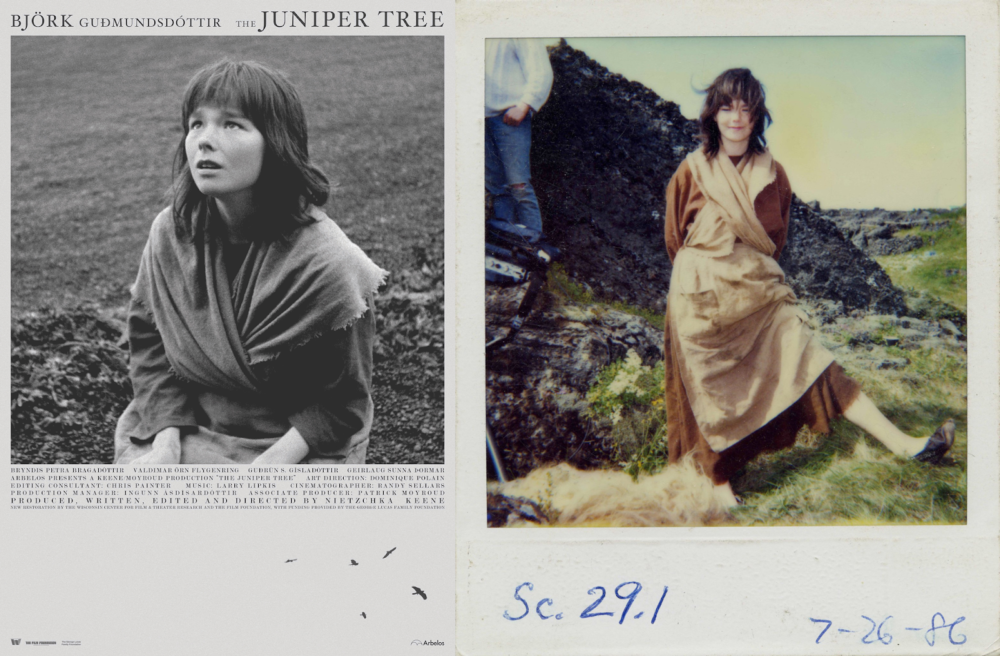 SESSION 86, ILLEGAL_CINEMA - Bulegoa